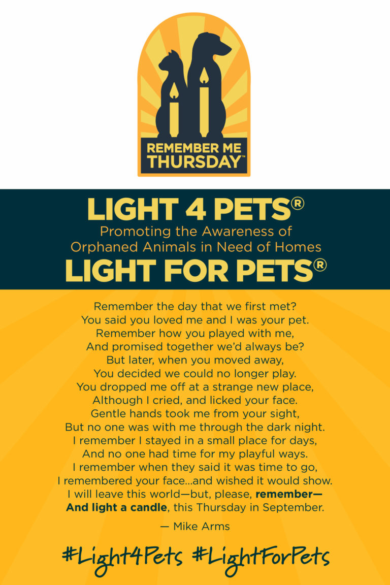 Remember Me Thursday – Layla's Woof