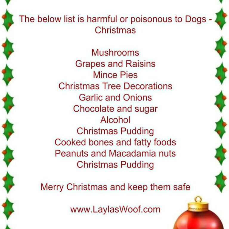 Layla's Woof – Standing up for the voiceless against Animal Abuse and ...